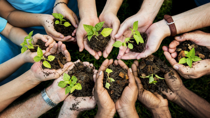 City Growers Gives Kids an Opportunity to Explore Sustainable ...