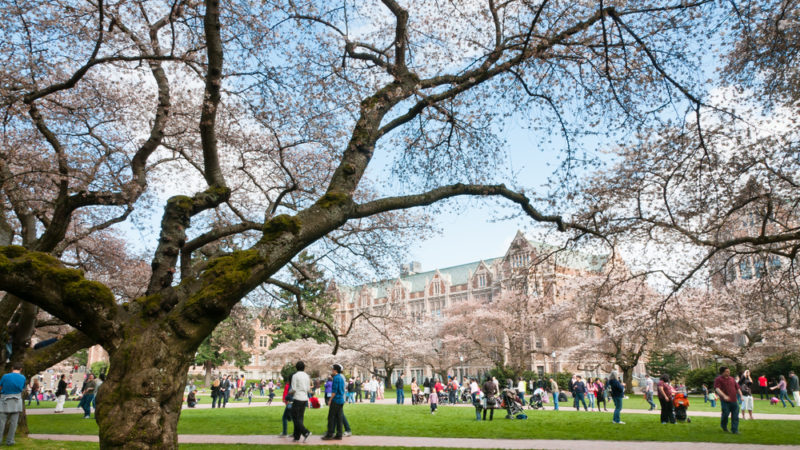 The Growing Partisan Divide in Views of Higher Education - Giving Compass