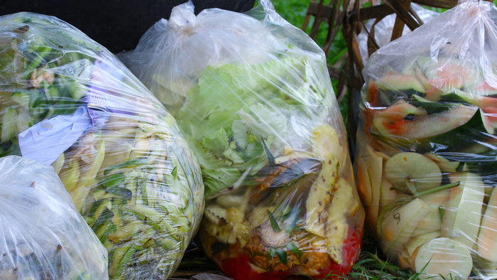 Eight Innovations Ending Food Loss in the Global South - Giving Compass