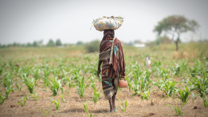 How Gender and Geography Determine Outcomes - Giving Compass