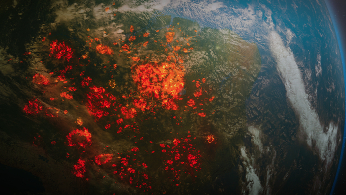 All You Need to Know About the Amazon Fires - Giving Compass