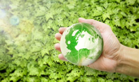 How An Ecological Paradigm Can Advance Systems Change - Giving Compass