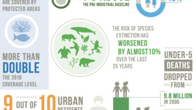 Addressing Global Issues: Sustainable Development Goals Overview ...