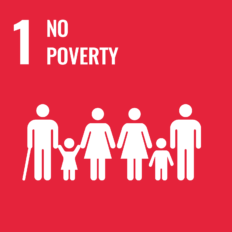 Addressing Global Issues: Sustainable Development Goals Overview ...