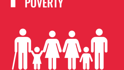 Addressing Global Issues: Sustainable Development Goals Overview ...