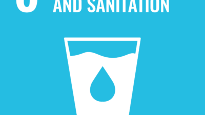 Addressing Global Issues: Sustainable Development Goals Overview ...