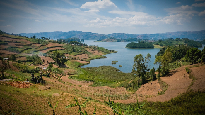 How Climate Conservation Efforts Utilize Adaptation - Giving Compass