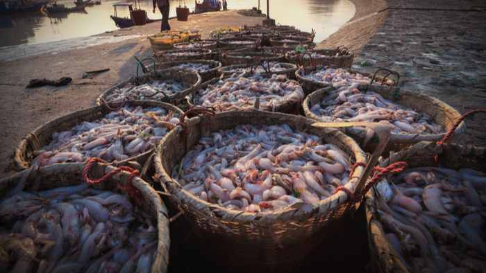The Need For Transparency in Distant-water Fishing Operations - Giving ...