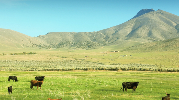 Much of Rural California Does Not Have Home Internet Access - Giving ...