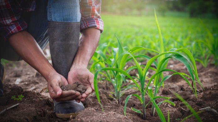 First-generation Ranchers Are Committed to Improving the Land - Giving ...