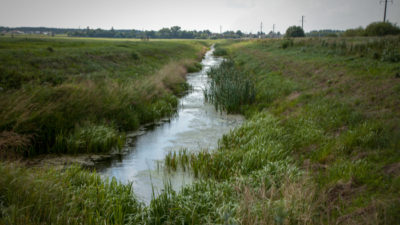 A Fertilizer Cleanup Success Story - Giving Compass