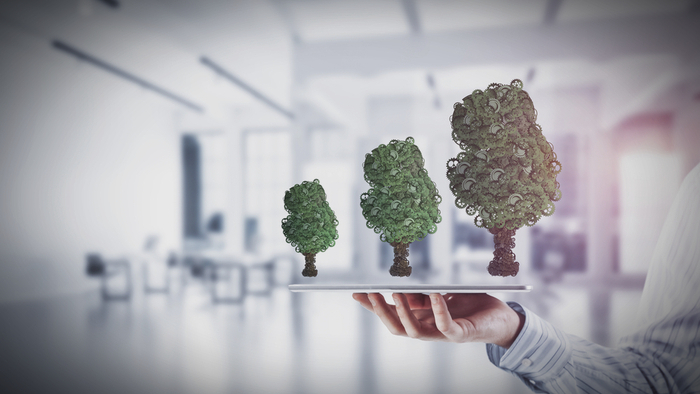 Green Organizations Are At the Forefront of Diversity - Giving Compass