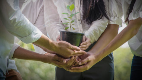 Seven Learnings From an Environmental Activist on Biodiversity ...