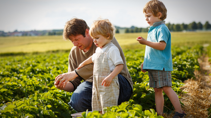 How and Why to Support Local, Eco-Friendly Farms - Giving Compass