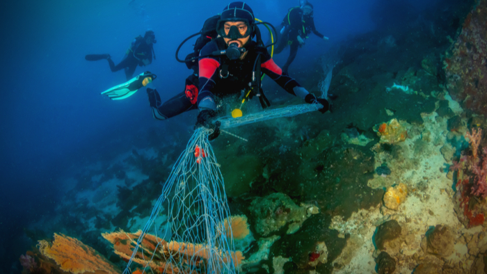 Five Strategies to Help Conservation Efforts Scale - Giving Compass