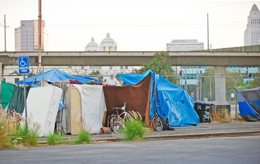 Funding Requirements To Care For The Homeless During COVID-19 · Giving ...