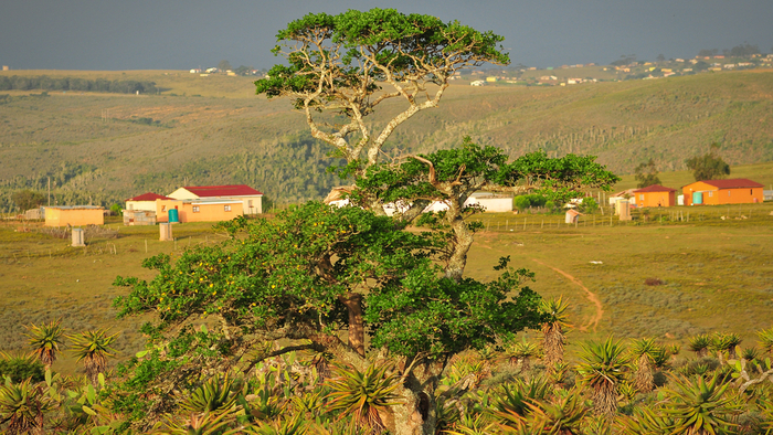 Seven Considerations for COVID-19 Response in Rural Communities ...