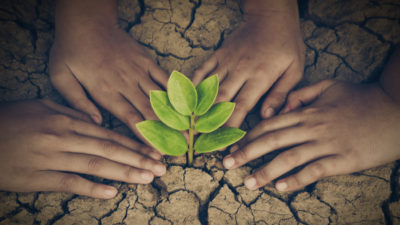 Climate Activists Are Still Addressing Environmental Problems During ...