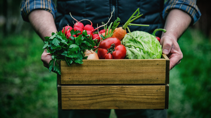 The Growth of Organic Farming and Sustainable Food Systems [Audio ...