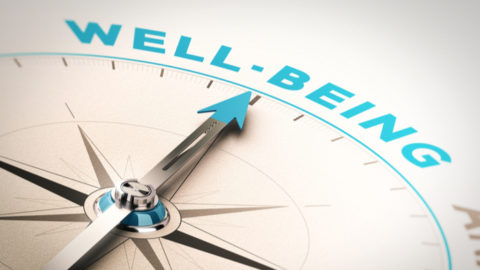 Three Steps to Organizational Well-being - Giving Compass