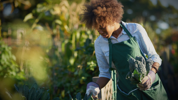 Strengthening the Black Food Sovereignty Movement - Giving Compass