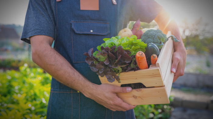 Using Tech to Create Sustainability in Food Manufacturing - Giving Compass