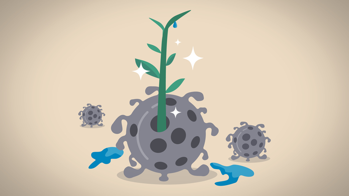 The Unique Opportunity for a Green Recovery Post-Pandemic - Giving Compass