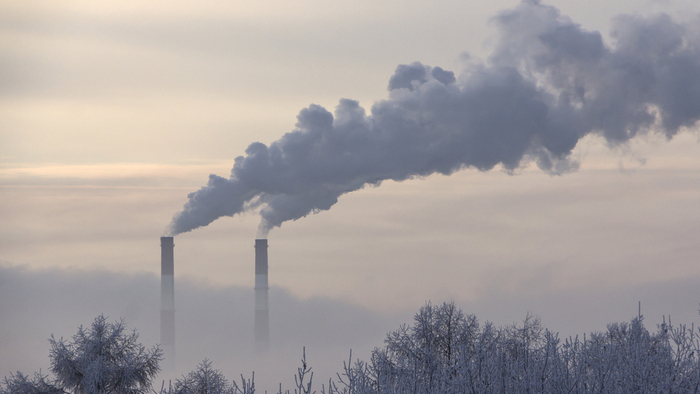 How to Reverse Climate Change Through a Software Platform That ...