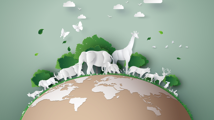 Some Thoughts About Building Alliances With the Environmental Movement ...