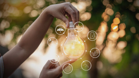 Role That Will Build a Successful Sustainability Team - Giving Compass