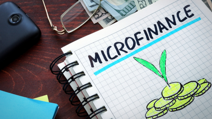 The Results of a Microfinance Program for Low-income Women in the U.S ...