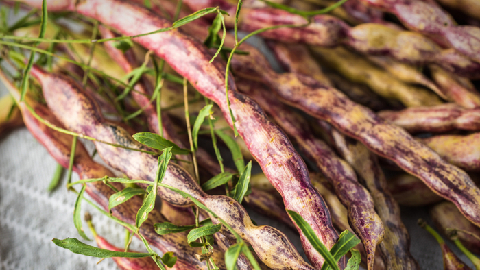 Indigenous Diets Hold Keys to Climate Change Agricultural Solutions ...