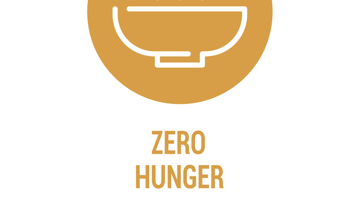 Zero Hunger – What Would It Look Like and How Do We Get There? - Giving ...