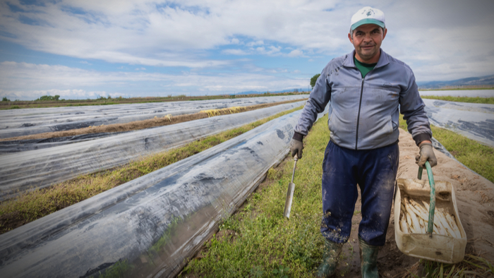 The Role of Immigrant-origin Workers in the Changing U.S. Economy ...