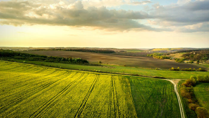 To Save Threatened Plants and Animals, Restore Habitat on Farms ...