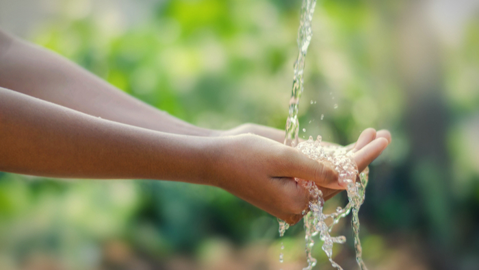 The Fight Against Neglected Tropical Diseases Requires Access to Clean ...