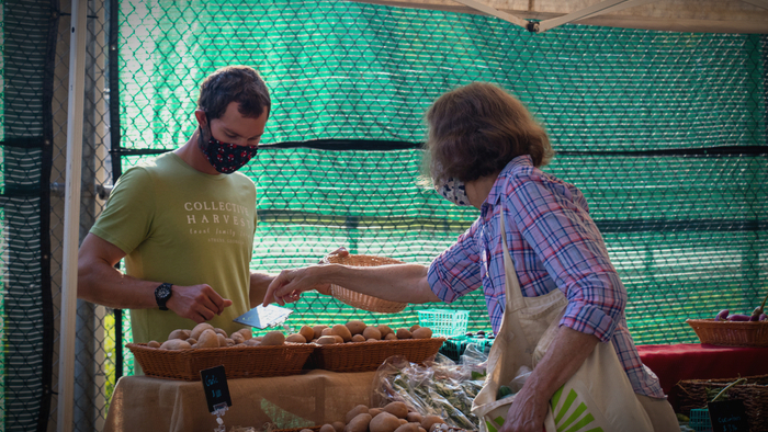 New Ways to Fight Hunger During the Pandemic - Giving Compass