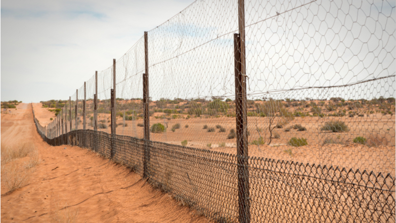 Fences Have Big Effects on Land and Wildlife Around the World that are ...