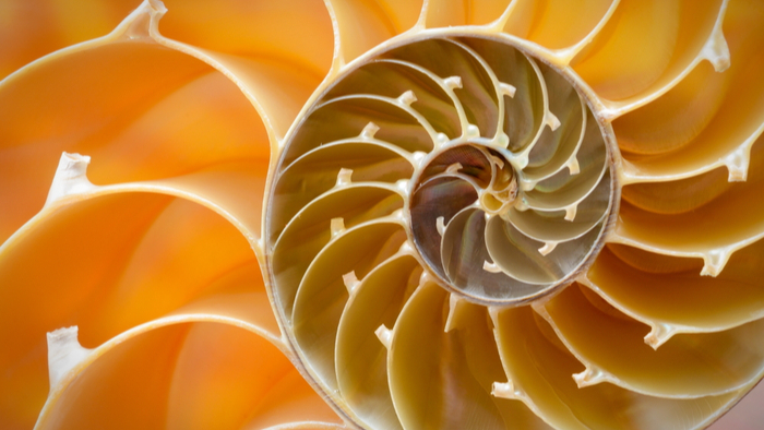 An Impact Investing Primer for Cultural Institutions - Giving Compass