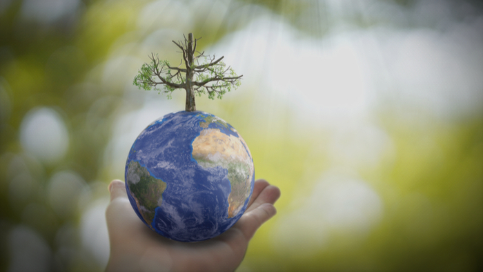 Conservation Trends to Look for In 2021 - Giving Compass