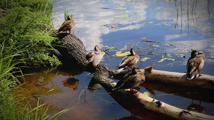 Farmers Combatting Effects of Climate Change That Impact Migratory ...