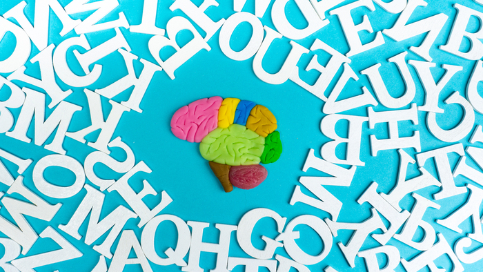 The Schoolwide Enrichment Model - Giving Compass