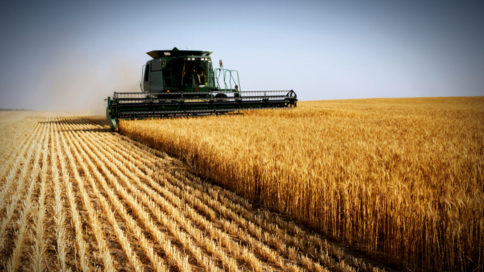 Report Demonstrates Power of Industrial Agrifood System - Giving Compass