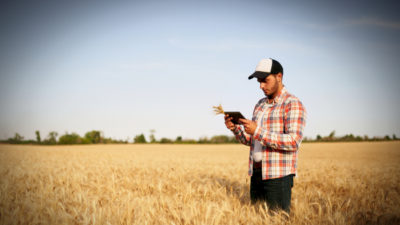 GrownBy: Fostering Connections Between in Local Food - Giving Compass