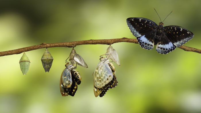 Transforming Systems: A Conversation with Elizer Darris [Audio ...