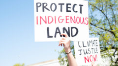 Returning Land to Indigenous Tribes Spurs Conservation - Giving Compass