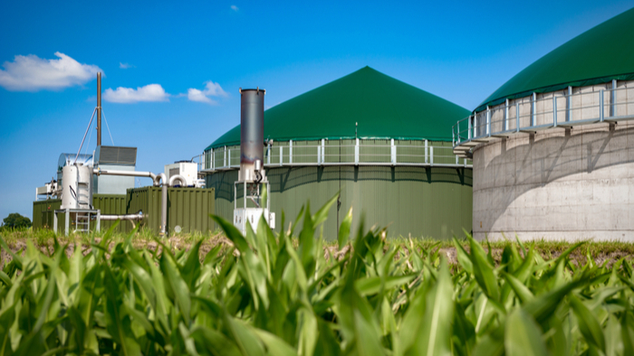 How Biogas Are Transforming Waste into Sustainability - Giving Compass