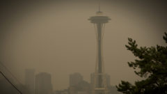 The Dangerous Components That Make Up Wildfire Smoke - Giving Compass