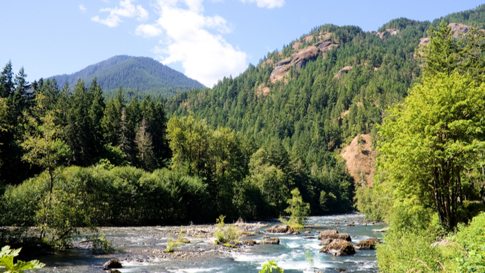 Indigenous Tribes Are Leading Efforts to Restore Ecosystems · Giving ...