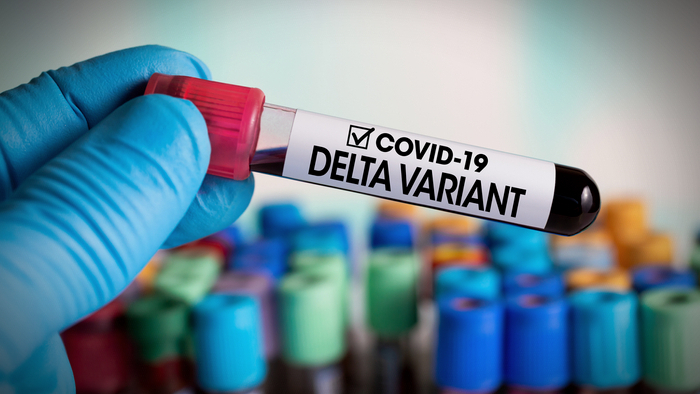 What to Know About the Delta Variant - Giving Compass